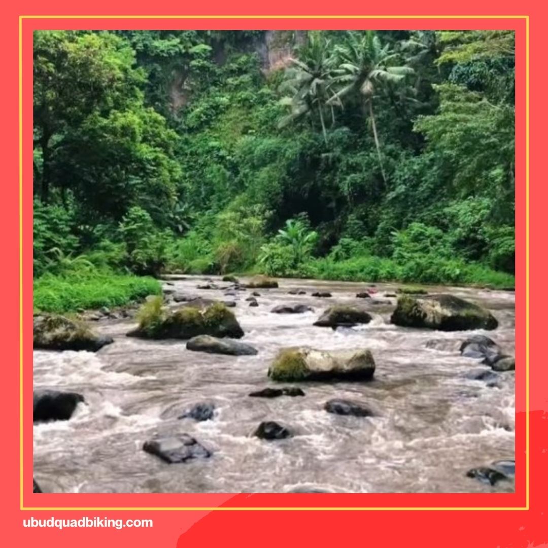 Ubud Tubing, Exploring the Stunning Rivers of Ubud
